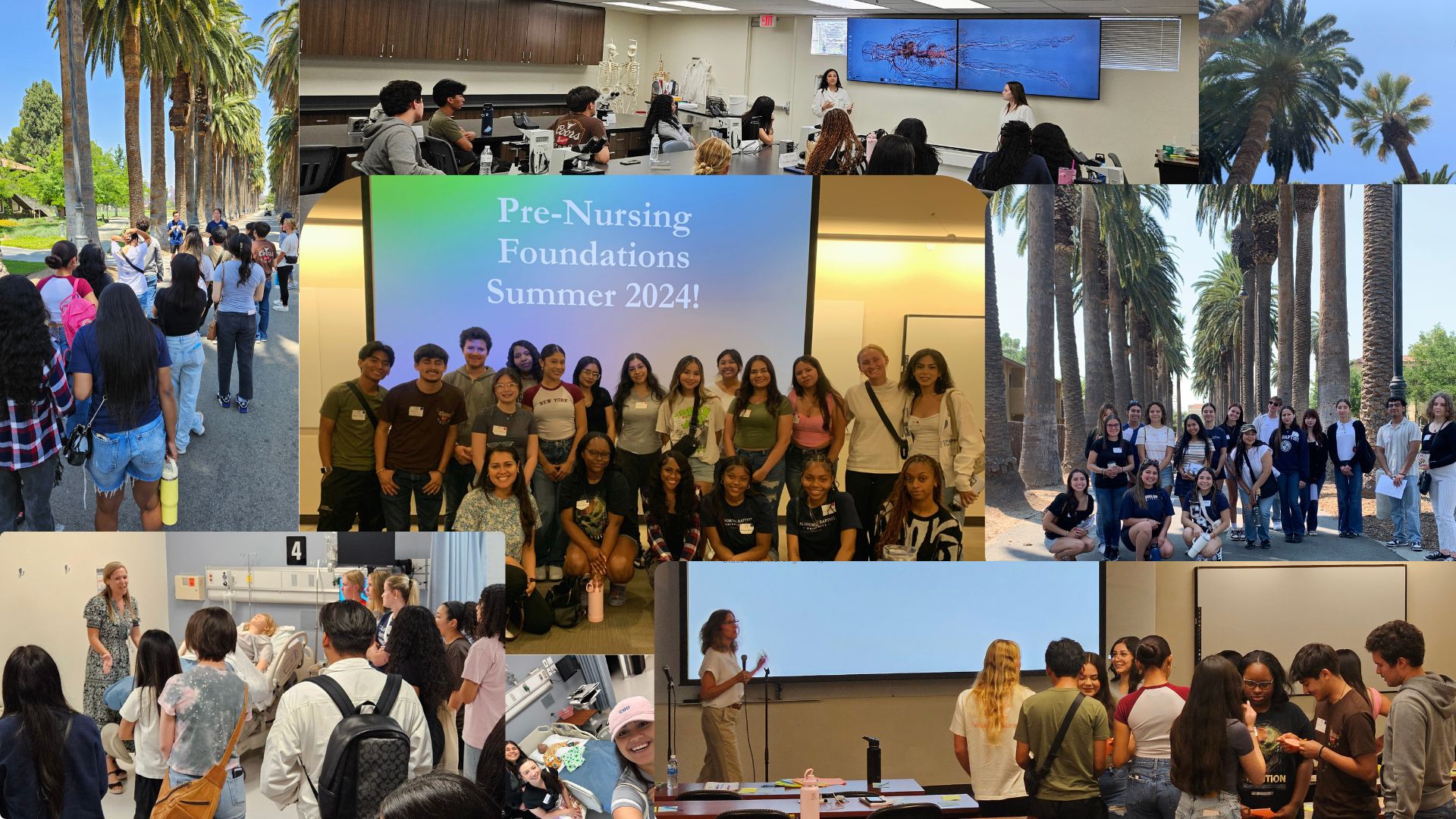 HSI Grant Program - HSI Grant